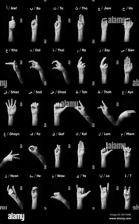 Dramatic Bandw Image Of Male Hands Demonstrating Arabic Sign Language
