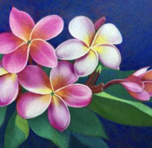 Polynesian Basics Playlist By Casey Feliciano Spotify