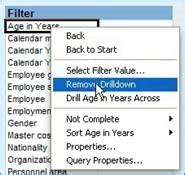 Learn The Sap Bw Bex Analyser