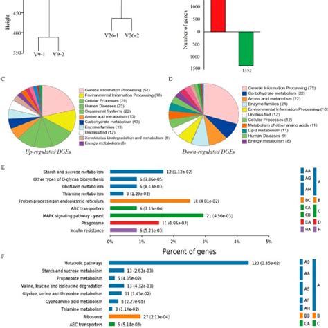 Shiyu Fu Professor Full Phd South China University Of Technology Guangzhou Scut