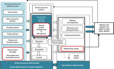 Modified Who Sdh Framework Used To Learn About The Challenges To Safer