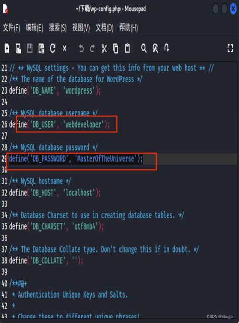 网络渗透ctf实践：获取靶机web developer 文件 root flag txt中flag csdn博客