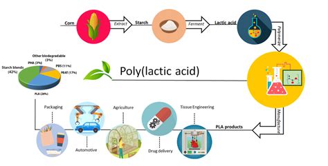 Polymers Free Full Text Polylactic Acid A Versatile Biobased Polymer For The Future With