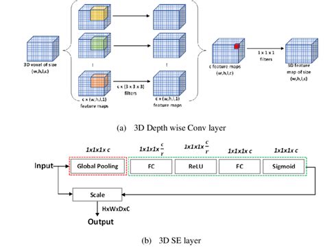 A 3d Depth Wise Conv Layer And B 3d Se Layer Download Scientific Diagram
