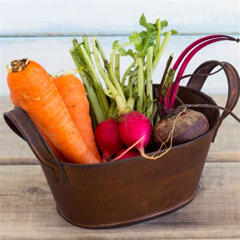 Best Healthy Root Vegetables For Gardening In 2024