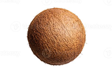 Rough Brown Spherical Object 58989694 Png