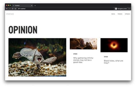 使用strapi和gatsby搭建一个blog网站恒馨博客
