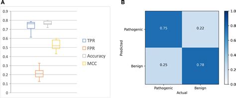 understanding structure guided variant effect predictions using 3d convolutional neural networks