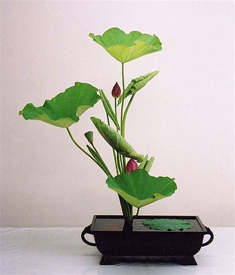 220 Ikebana Flower Arrangement Ideas Ikebana Flower Arrangement