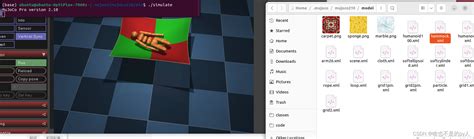 Mujoco Xml编写（二）