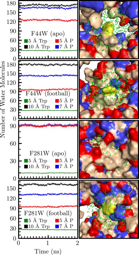 Two Nanosecond Snapshots Of An Md Simulation Trajectory The Left