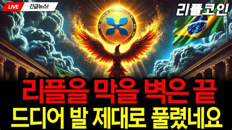 리플코인 리플을 막을 벽은 없다 발 제대로 풀렸습니다 Youtube