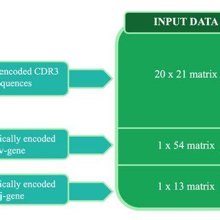 Diagram Of The Different Components Of The Input Data Download Scientific Diagram
