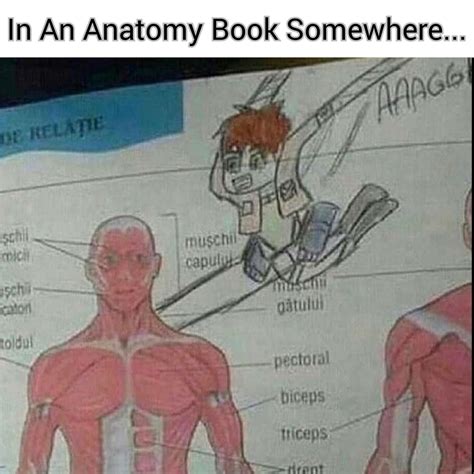 Funny Anatomy Memes Just Vibes Meme Memecut Anatomy Physiology