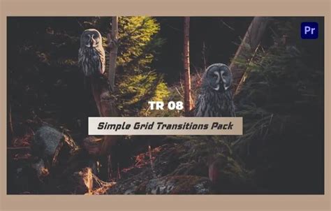 Simple Mosaic Transitions Pack Premiere Pro Templates