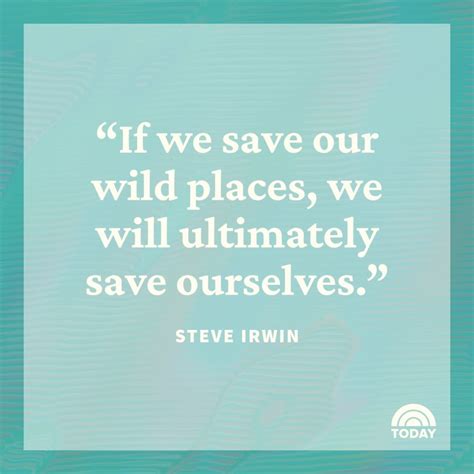 85 Nature Quotes About The Beauty Of The Great Outdoors