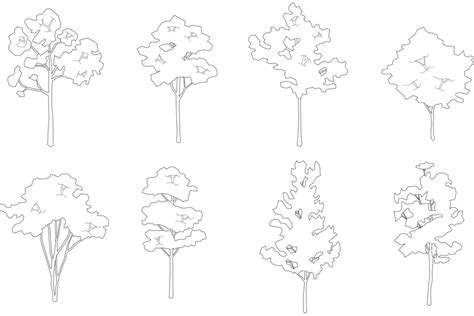 Free Isometric Trees Architecture Collage Architectural Trees