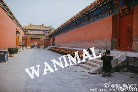 王动作品故宫 王动作品 伤感说说吧