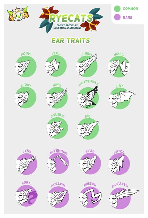 Trait Sheet Ears Ryecats By Arachnidank On Deviantart