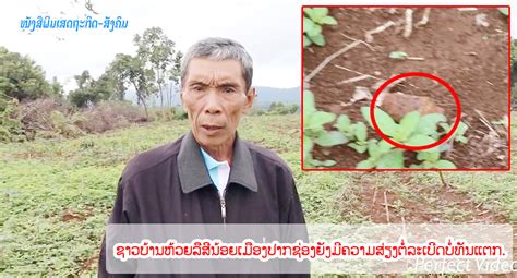 ເສດຖະກິດ ສັງຄົມ