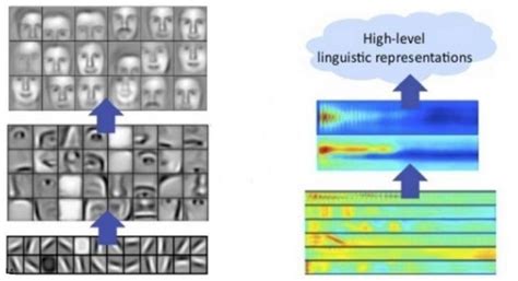 neural network for facial feature extraction download scientific diagram