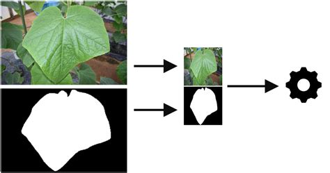 Salient Object Detection — Justdeepit Documentation