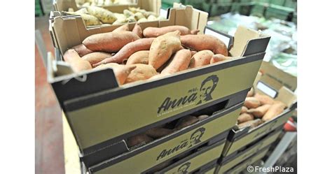 Италианските сладки картофи нишов продукт който става все по