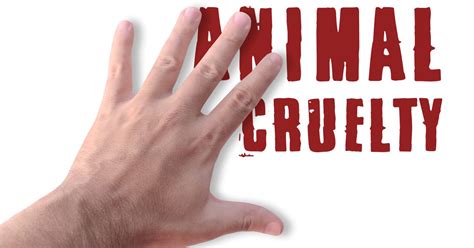 Gloria James On Strengthening Animal Cruelty Laws In Singapore