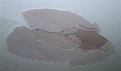 Asbestos Diynot Forums