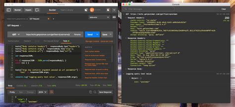 The Postman Console Postman Blog
