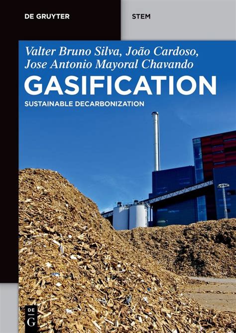De Gruyter Stem Gasification Valter Bruno Silva 9783110758207