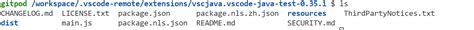 Update Broke The Extension · Issue 1442 · Microsoftvscode Java Test