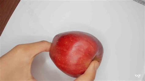 Klasifikasi Apel Object Detection Dataset And Pre Trained Model By Apel