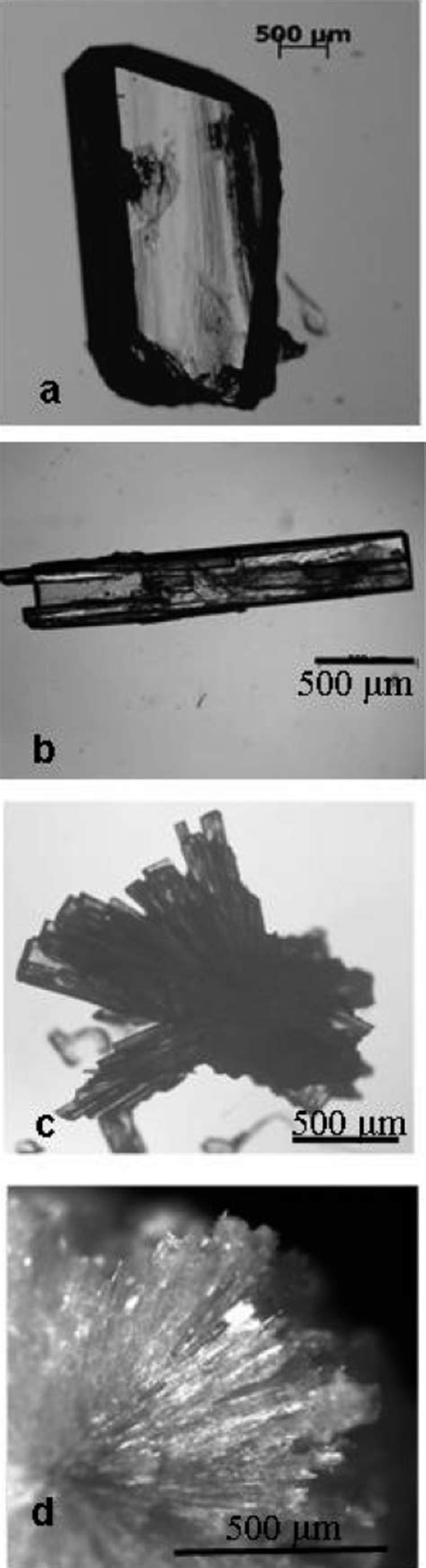 Morphology Of Crystals Grown From Solution With Di Ff Erent R S Download Scientific