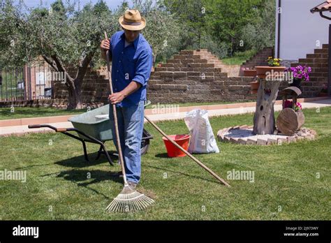 Image Of A Gardener Picking Dead And Dry Grass From His Lawn With A