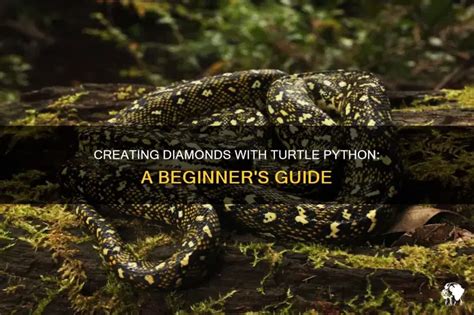Creating Diamonds With Turtle Python A Beginner S Guide PetShun