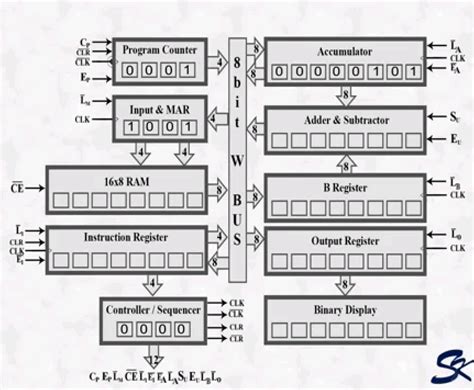 Sap 1 Processor Halcyoona