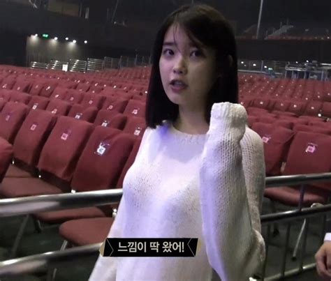 아이유 가슴크기