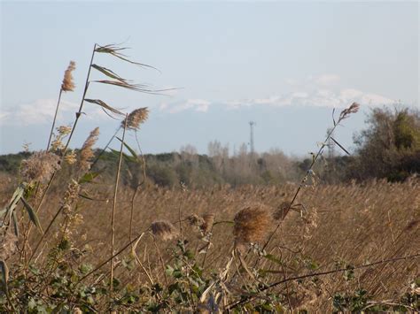 ქარი Cagu Flickr