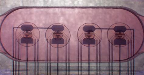 Creating A Brainy Computer Scientists Link Mini Human Brains BizTech Weekly