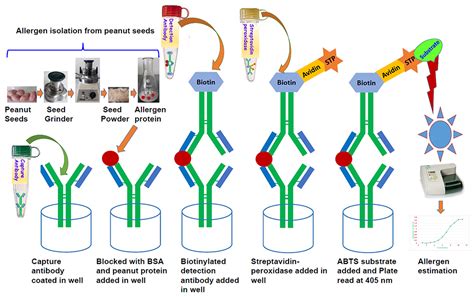 Frontiers Development Of An Enzyme Linked Immunosorbent Assay Based