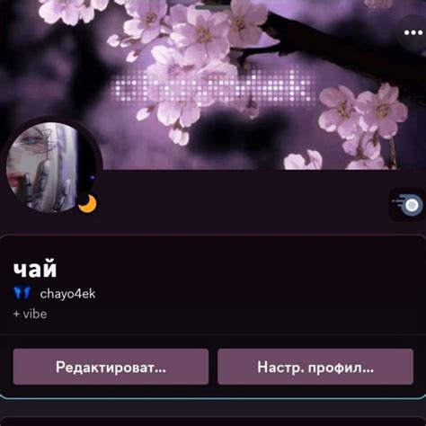 Discord Profile °｡⋆⸜ Cool Pfps For Discord Header Pictures Creative Profile Picture