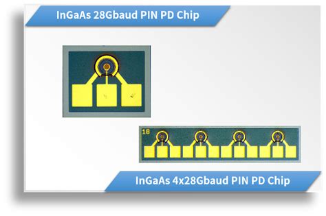 Ingaas 28gbaud Pd Chip 4x28gbaud Array Pd Chip 河北光森电子科技有限公司