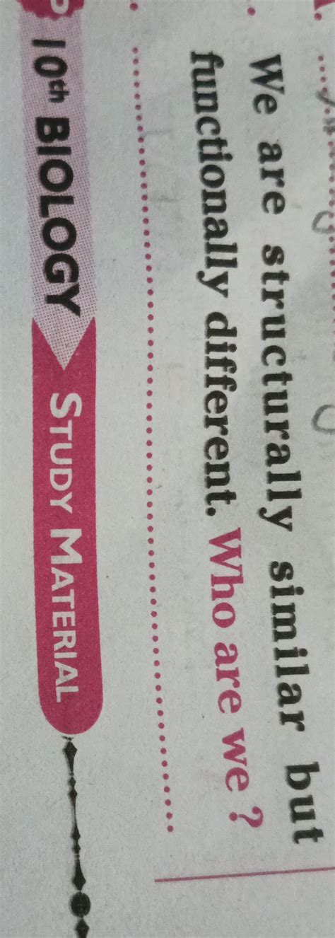 Solved We Are Structurally Similar But Functionally Different Who Are