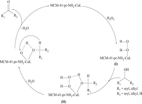 Proposed Mechanism For Oxidation Of Alcohols With H O Catalyzed By Download Scientific Diagram