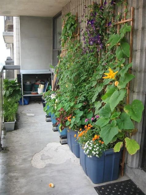 Patio Container Gardens At Oliver Howell Price Blog