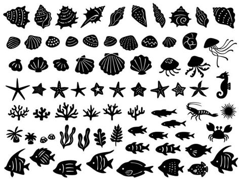 50200 Bivalve Stock Illustrations Royalty Free Vector Graphics