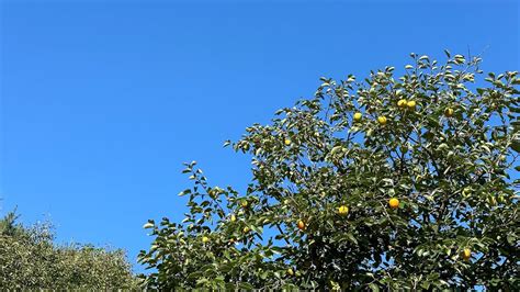 Vlog 코스트코 장보기 자바프 동숲 일본라멘 갈비탕 강릉바다 명절음식 소고기 베라 버터오징어 선녀바위 해수욕장 카페 마라탕 추어탕 Youtube