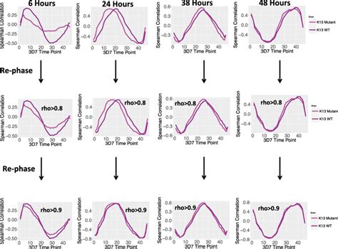 The DI Algorithm Identifies Genes Responsible For IDC Correlation Download Scientific Diagram