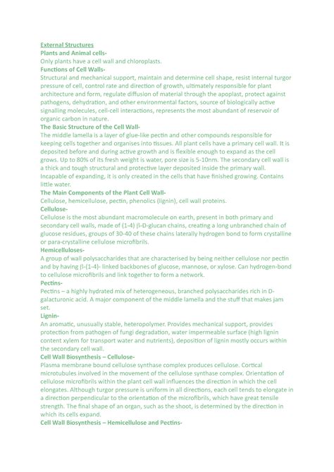 External Structures Lecture Notes External Structures Plants And